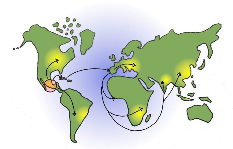 History of Corn - Professor Torbert's Orange Corn