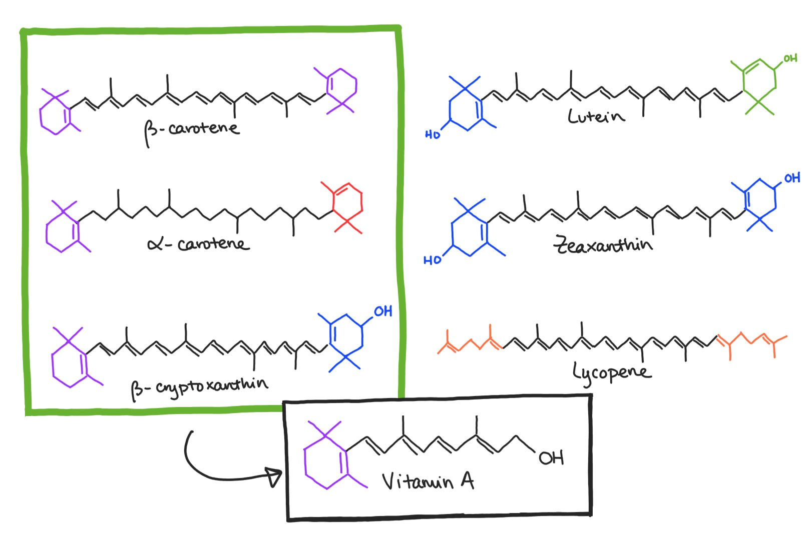 Different Types of Carotenoids - Professor Torbert's Orange Corn