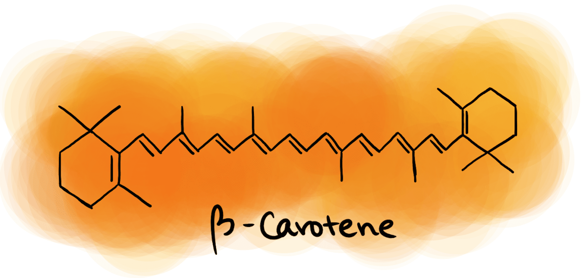 Different Types of Carotenoids - Professor Torbert's Orange Corn